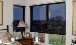 Mylar Sun Shade – Solar View Shades