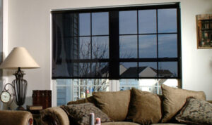 Mylar Sun Shade – Solar View Shades